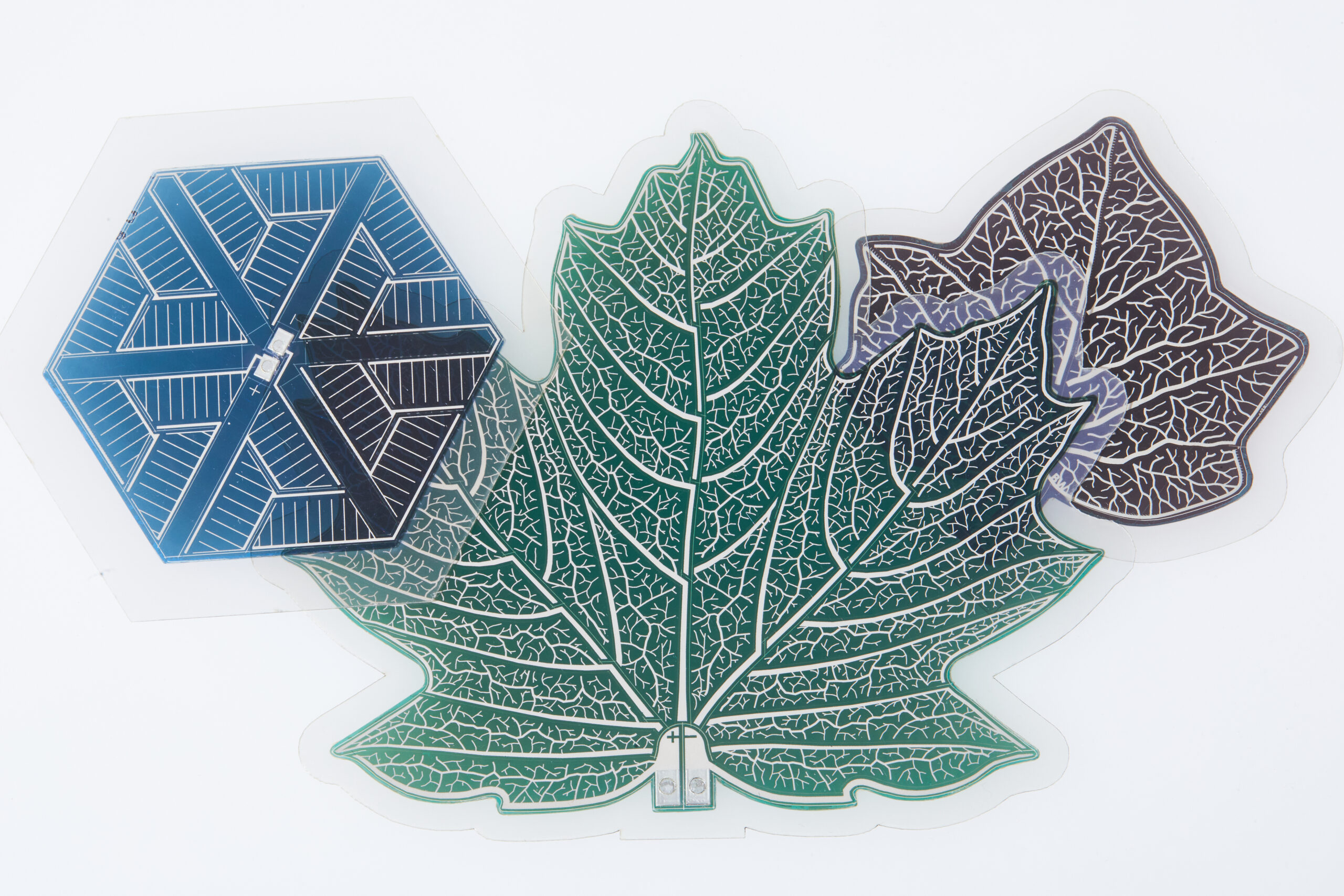 Material Pulse - New Aesthetics - Material ConneXion