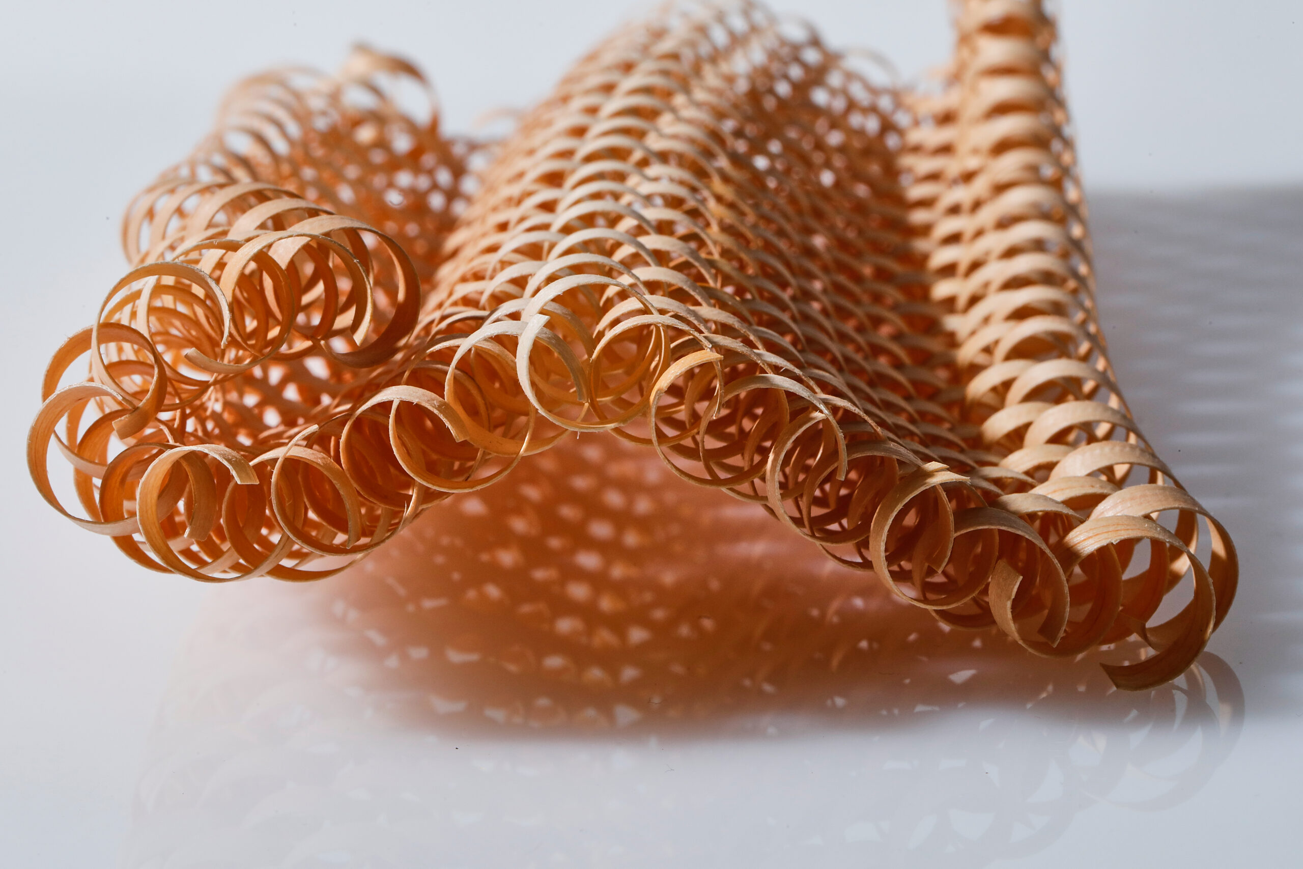 Top 5 Materials - October 2024 - Material ConneXion