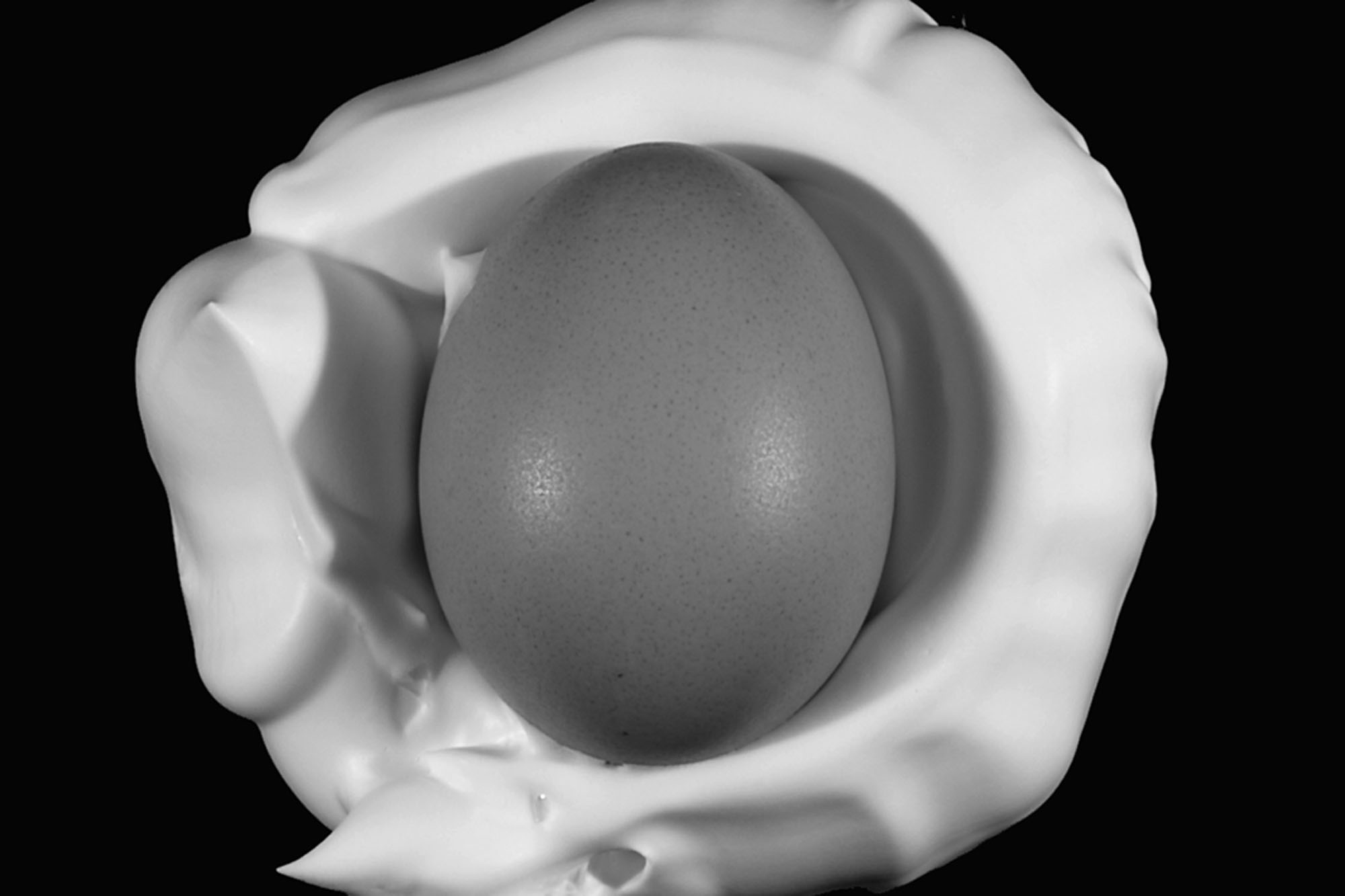 Packaging: Advanced Protection - Material ConneXion