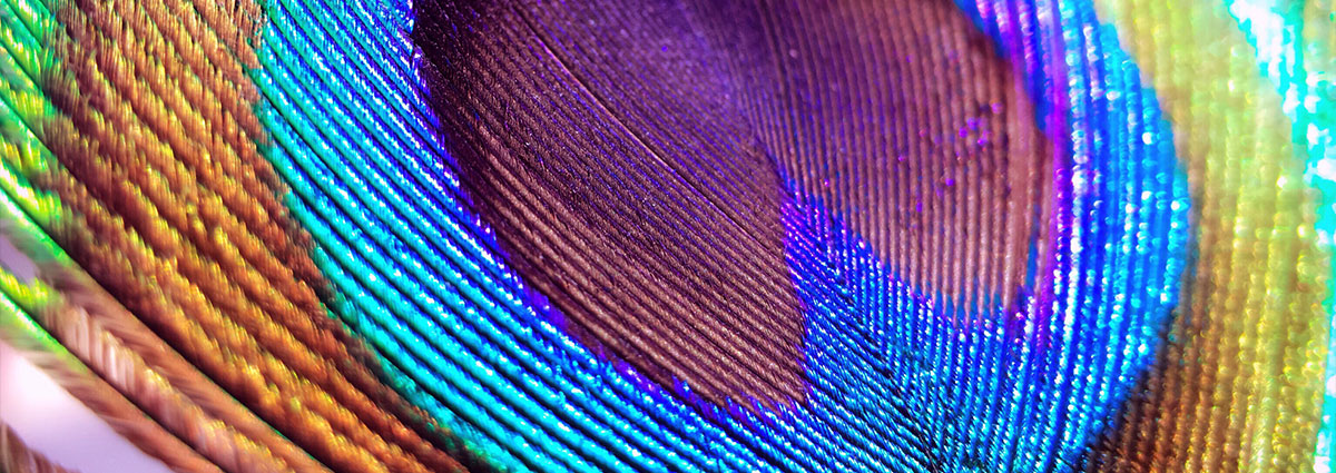 Structural Color - Material ConneXion